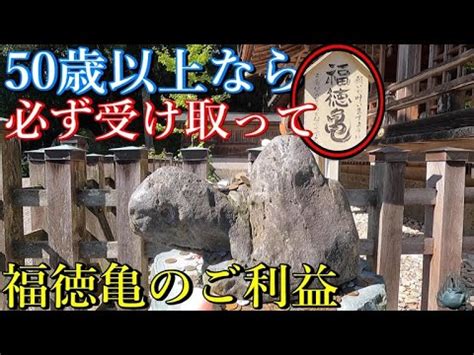 我が国最長寿の神 武内宿禰命がご祭神長寿の象徴 福徳亀から神のご利益 ご神威ご神徳を受け取って下さい鳥取県鳥取市 宇倍神社祭神