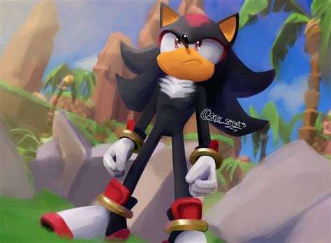 Sonic Prime Shadow Shadow The Hedgehog Wallpaper Fanpop