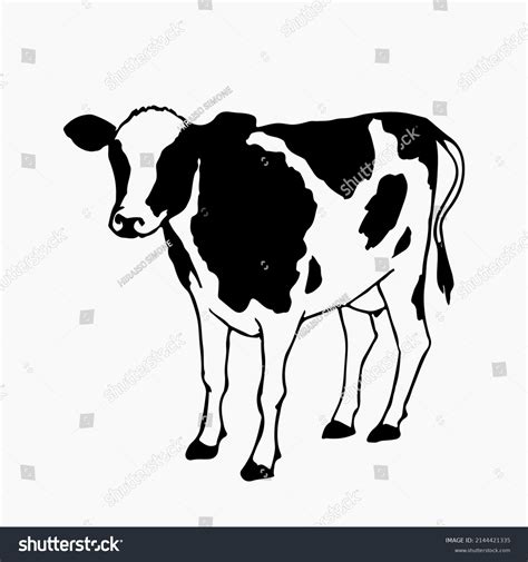 Cow Dairy Cattle Milk Cow Hand Stock Vector Royalty Free 2144421335