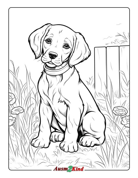 Ausmalbilder Hunde St Ck Tiere Zeichnen Kostenlos Als Pdf