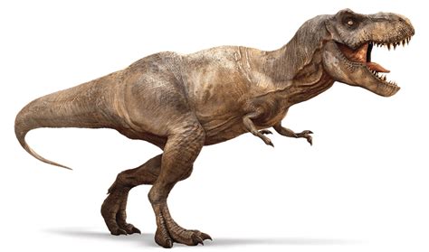 Image T Rex 2png Park Pedia Jurassic Park Dinosaurs Stephen Spielberg