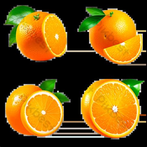 Fresh Orange Slices Hand Drawn Illustration Vector PNG Images PSD