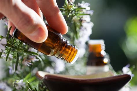 Aceites Esenciales Conoce Sus Diferentes Usos Bioguia