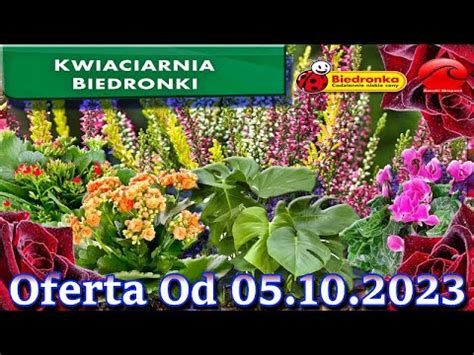 Biedronka Kwiaciarnia Biedronki Nowa Oferta Od Kwiatowe