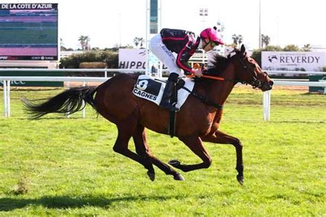 PRIX DE MILAN 2024 Partants et Pronostics CAGNES SUR MER Réunion n