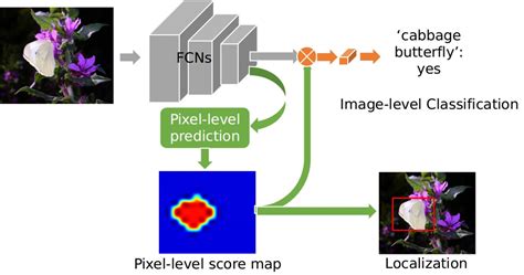 global weighted average pooling bridges pixel level localization and image level classification