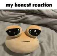 My Honest Reaction Blank Template Imgflip