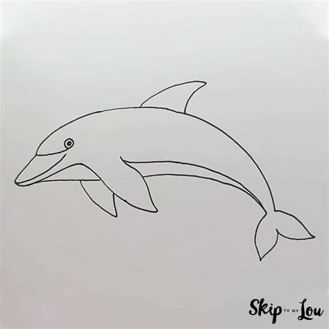 How To Draw A Dolphin An Easy Guide Skip To My Lou