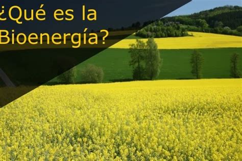 Ventajas Y Desventajas De La Bioenergía Como Fuente Renovable