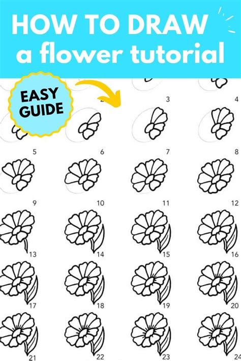 Step By Step Easy Flower Drawings
