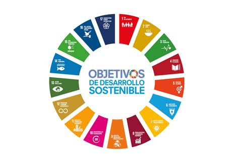 El PNUD Y Las Naciones Unidas Programa De Las Naciones Unidas Para El