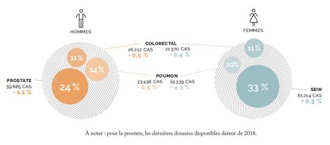 Panorama Des Cancers En France En 2023 Onko