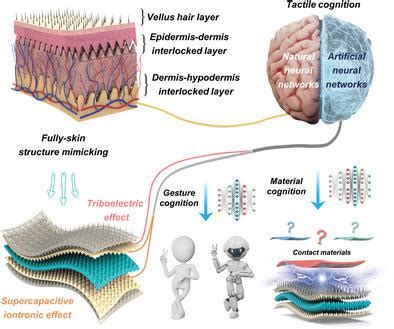 Advanced Materials X Mol