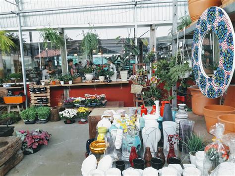 84 avaliações sobre Flor e Cultura Floricultura em Florianópolis