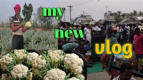 My New Vlog Govi Ki Katai Myfirstvlog Vlog Govi Ki Kheti YouTube