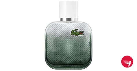 L 12 12 Blanc Eau Intense Lacoste Fragrances Cologne Un Nouveau