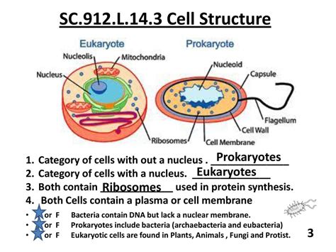 SC 912 N 1 1 Scientific Method 1 In The Experiment Above Identify The