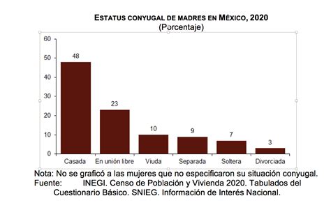 En M Xico Millones De Madres En Inegi Semm Xico