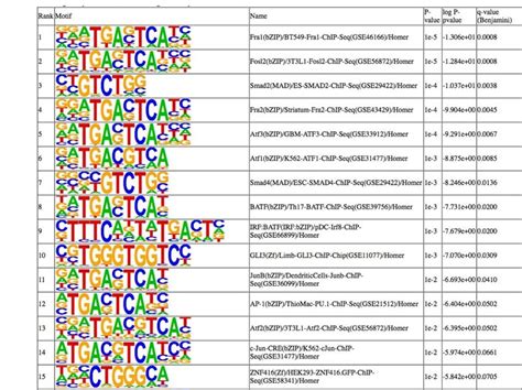 Fig S15 Complete List Of Transcription Factor Binding Motifs Enriched