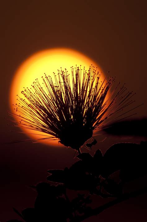 Soleil Le Coucher Du Ciel Photo Gratuite Sur Pixabay Pixabay