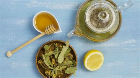 Para qué sirve el té de boldo en ayunas Conoce sus beneficios y