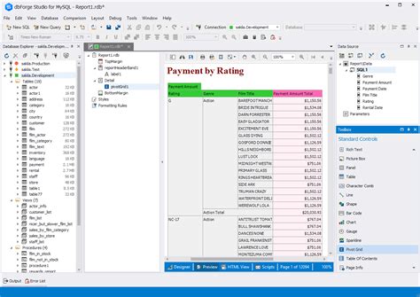 mysql report builder and flexible reporting tools [2024]