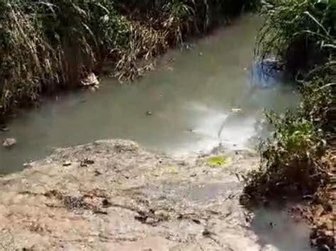 Mau cheiro no córrego do Alegre em Timóteo incomoda moradores