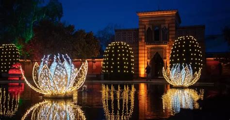 Neues Lichterfest für den Zoo Christmas Garden kommt nach Karlsruhe