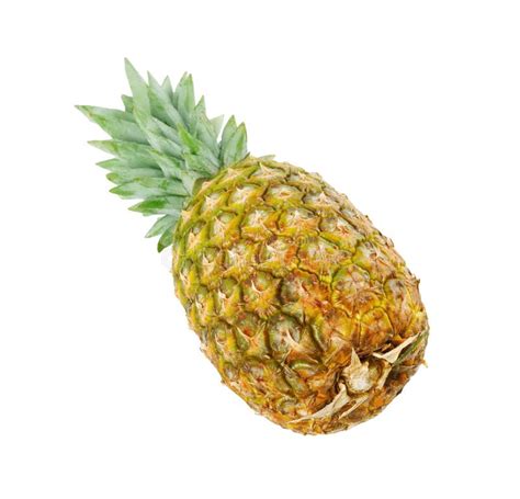 One Whole Ripe Pineapple Isolated On White Stock Photo Image Of