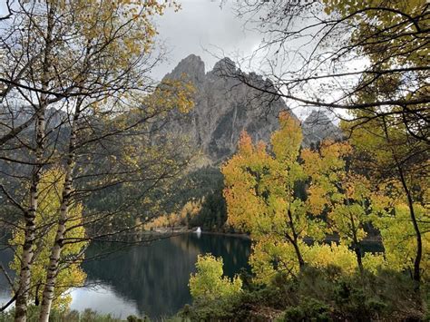 Por qué caen las hojas en otoño y se ponen marrones