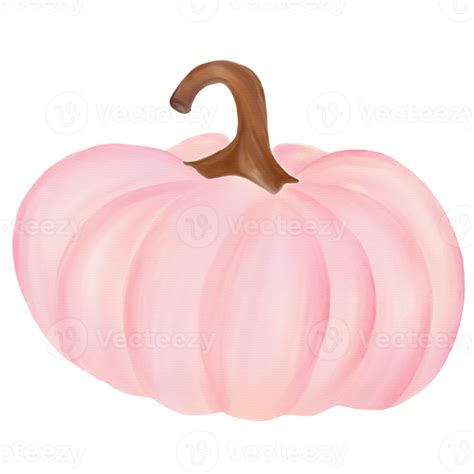 Pink Pumpkin Watercolor 10260241 PNG