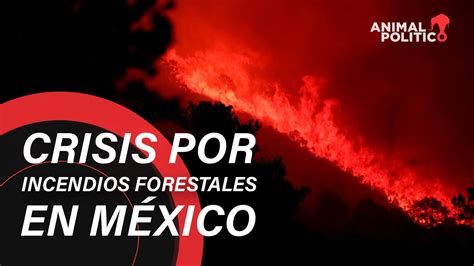 Incendios forestales en México el mayor número en los últimos 5 años
