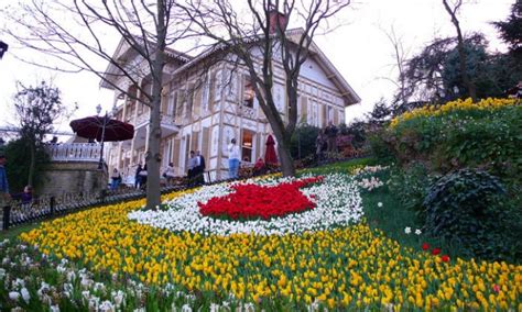 Emirgan Korusu Nerede Nasıl Gidilir Giriş Ücreti Lale Festivali