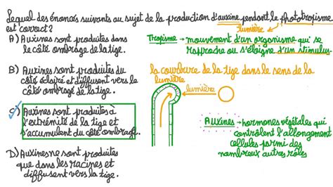 Vidéo question Rappeler lendroit où se produit lauxine pendant le