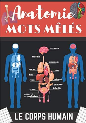 Mots mêlés Anatomie Livre pratique educatif pour adultes 60 puzzles