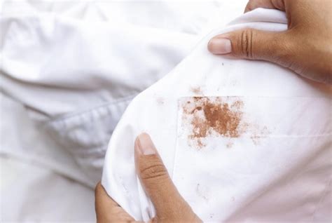 Exist Ncia Muito Bem Sucedida Absolutamente Mancha De Sangue Na Roupa