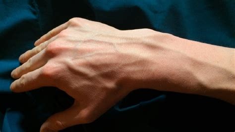 How To Get Veiny Hands In Only 2 Days YouTube
