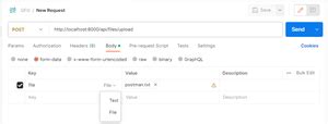 How To Test File Uploads In Postman Using Express GeeksforGeeks