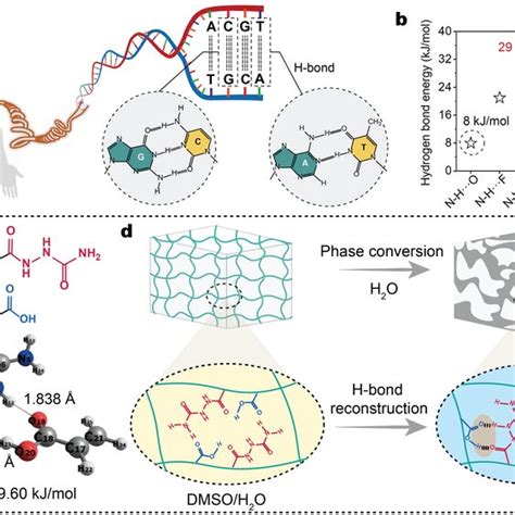Straininduced Microphase Separation Of Hydrogels A Tensile