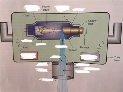 C The Dental X Ray Machine Components And Function Diagram Quizlet
