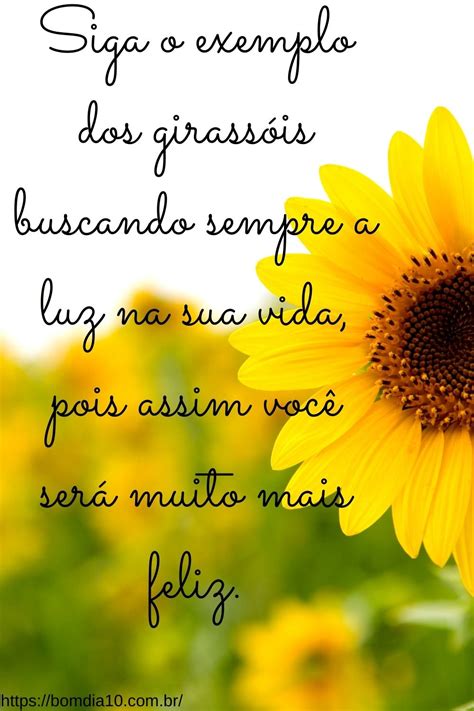 Frases Sobre O Girassol LIBRAIN