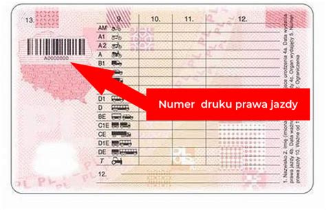 Gdzie znaleźć numer prawa jazdy oraz numer druku prawa jazdy