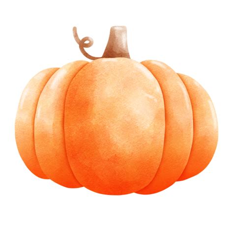 Pumpkin Water Color 27707149 PNG