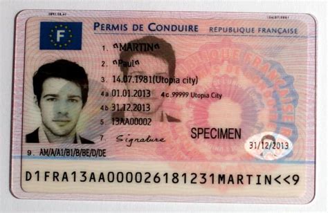 Ans Du Permis De Conduire Du Certificat De Capacit Au Format