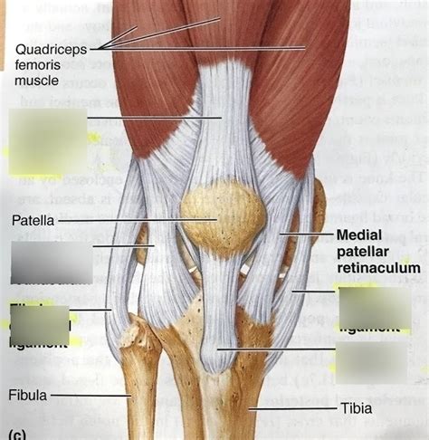 Bs Quiz Diagrams Part Diagram Quizlet