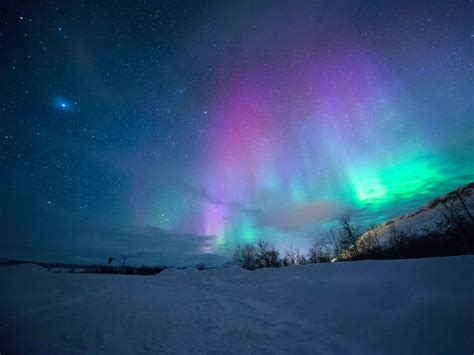 Crucero con el increíble paisaje de Auroras Boreales
