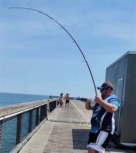 Best Pier Fishing Rigs Setup Fishing Guide W Pictures