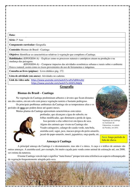 3º ANO ATIVIDADES DE GEOGRAFIA BIOMAS BRASILEIROS CAATINGA Cuca