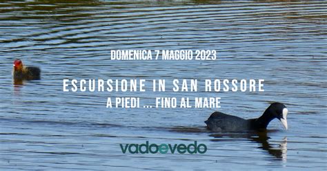 Escursione Nella Tenuta Di San Rossore Fino Al Mare Escursionismo It
