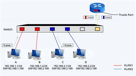 VLAN come cambia la gestione della rete Comunità FS